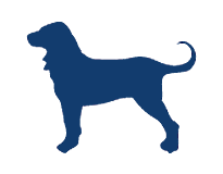 KAU High Premium – Biobase