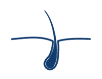 KAU High Premium – Biobase